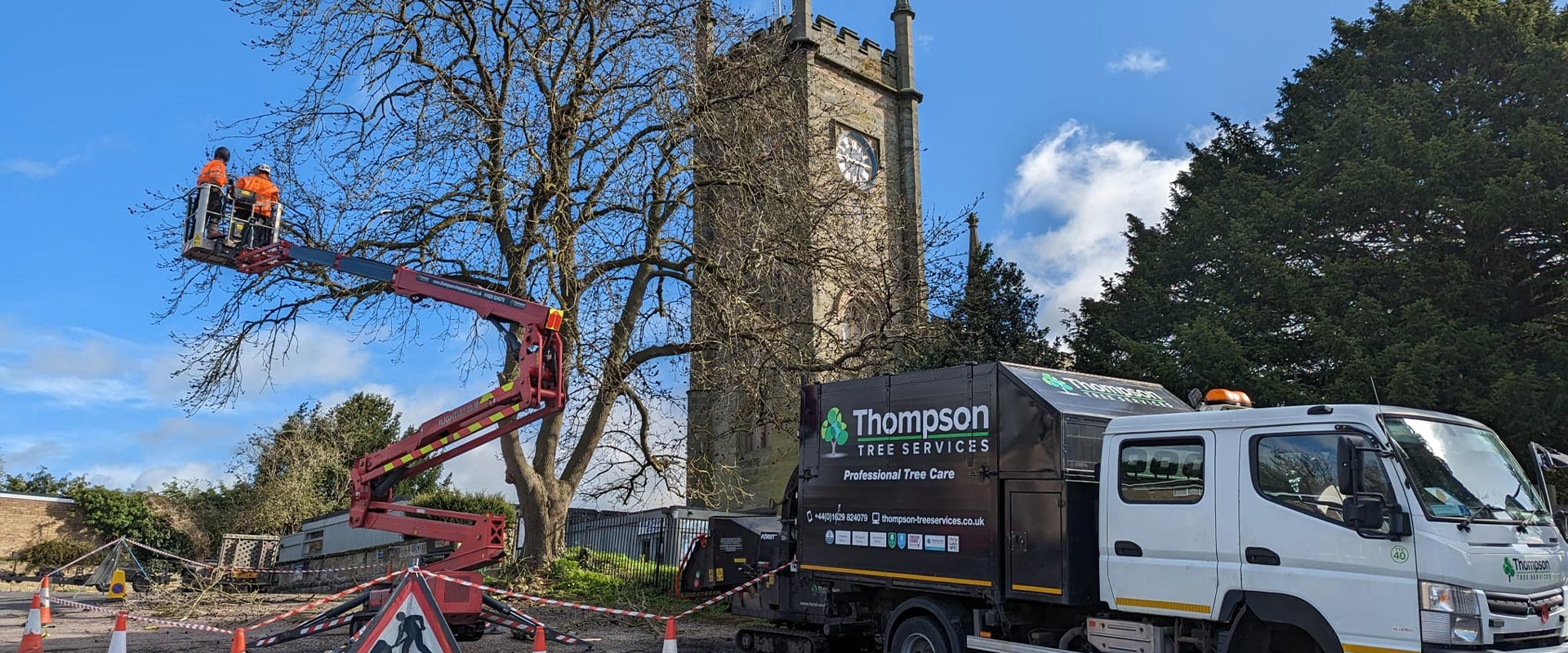 Thompsons Group | Tree & Environment Services | Consultancy