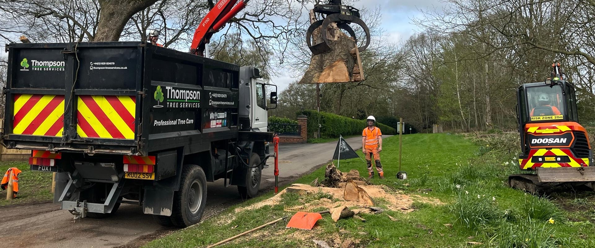 Thompson Tree Services - Thompsons Group